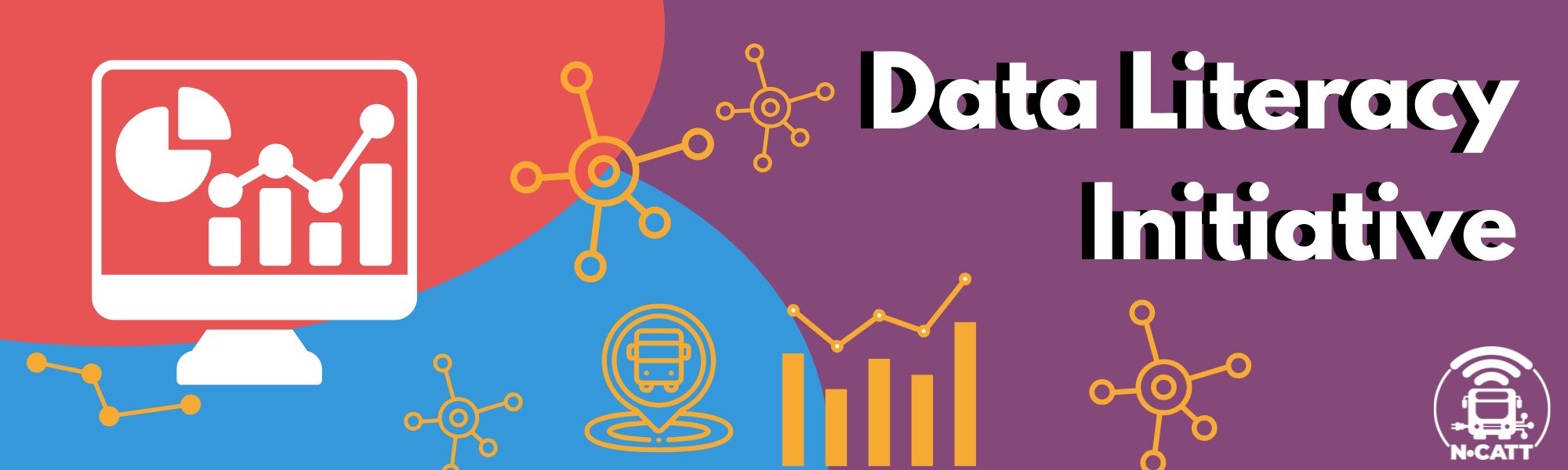 Data Literacy Initiative - N-CATT